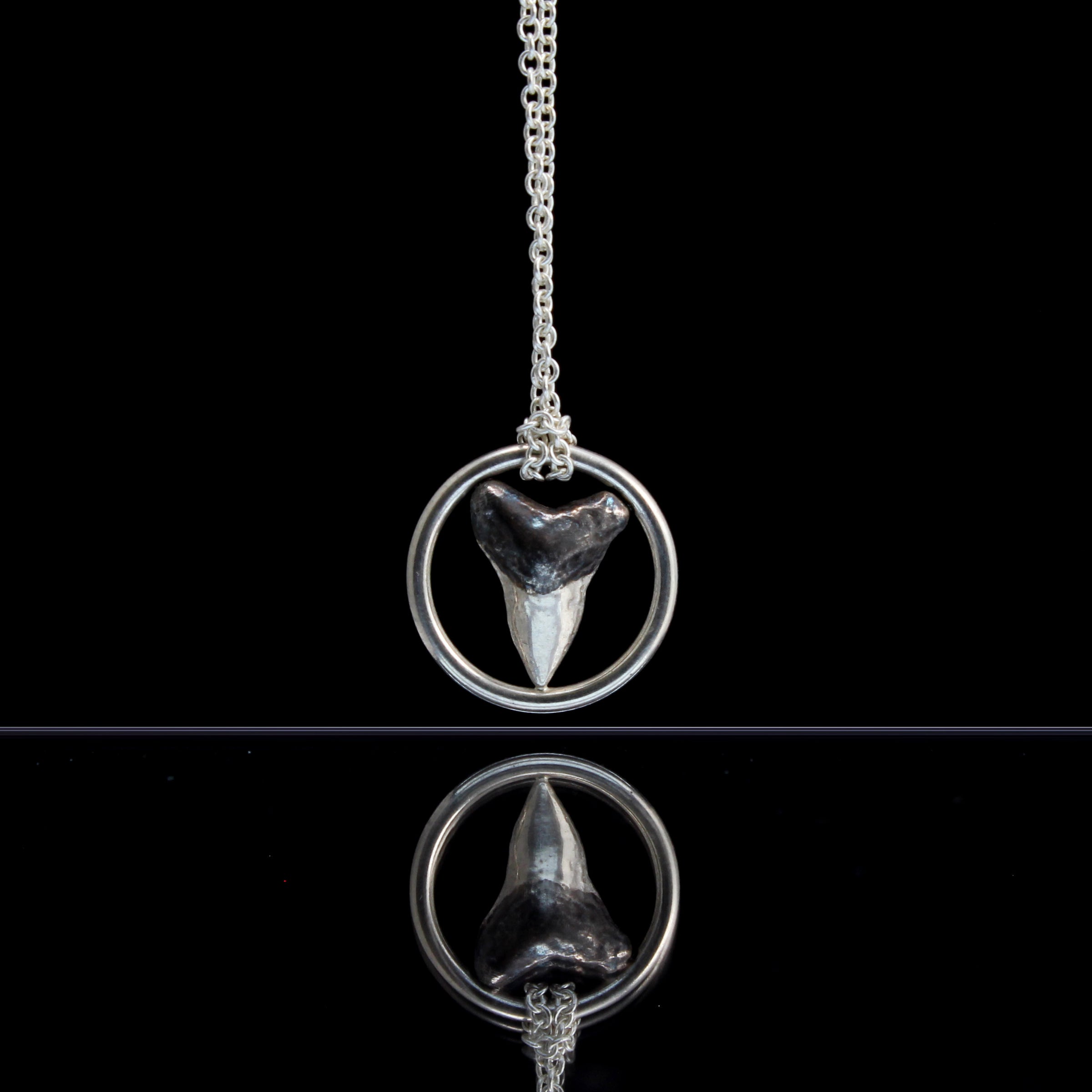 Bull Shark Tooth Necklace